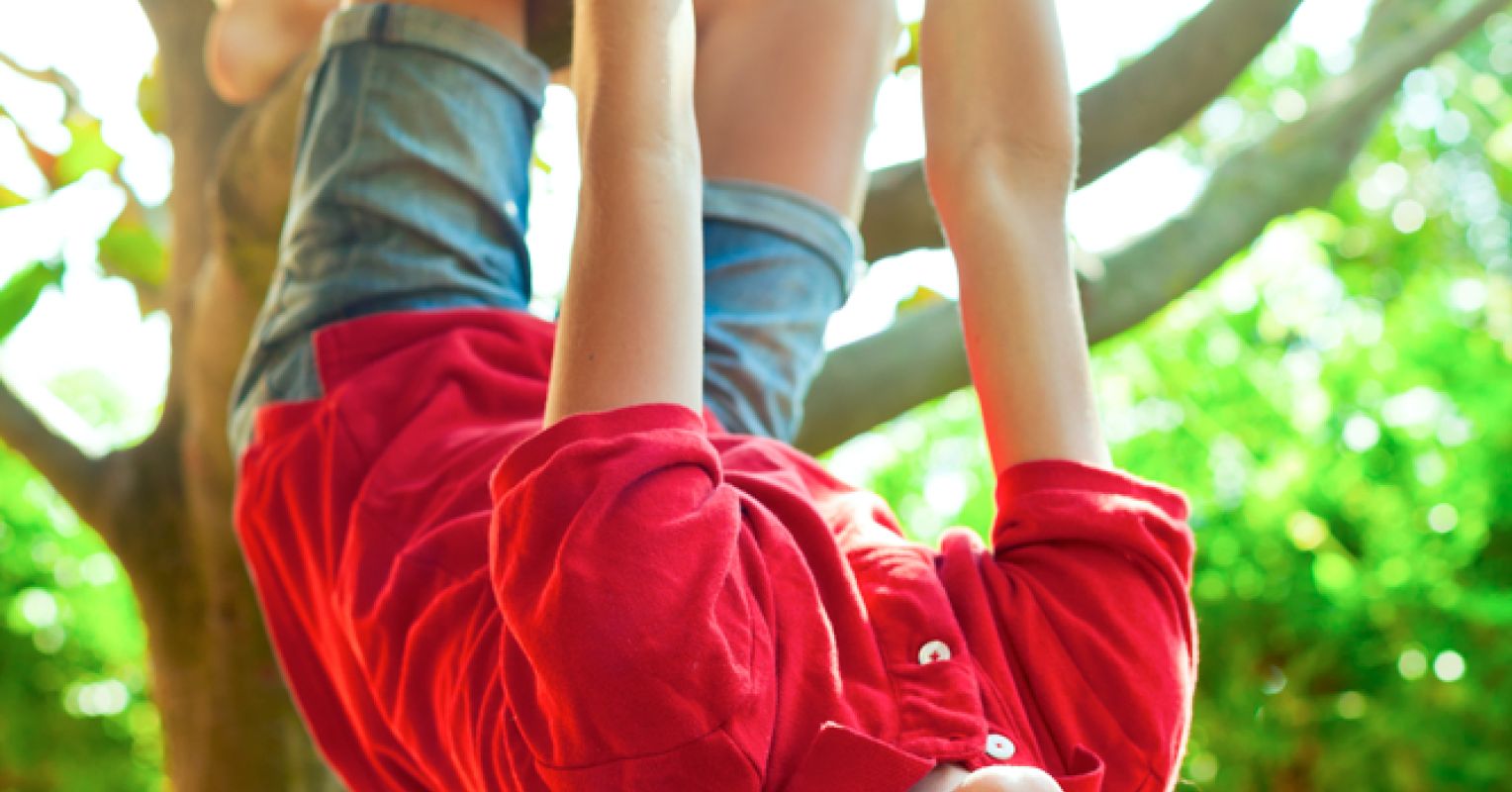 Want to Improve Your Cognitive Abilities? Go Climb a Tree! | Psychology ...