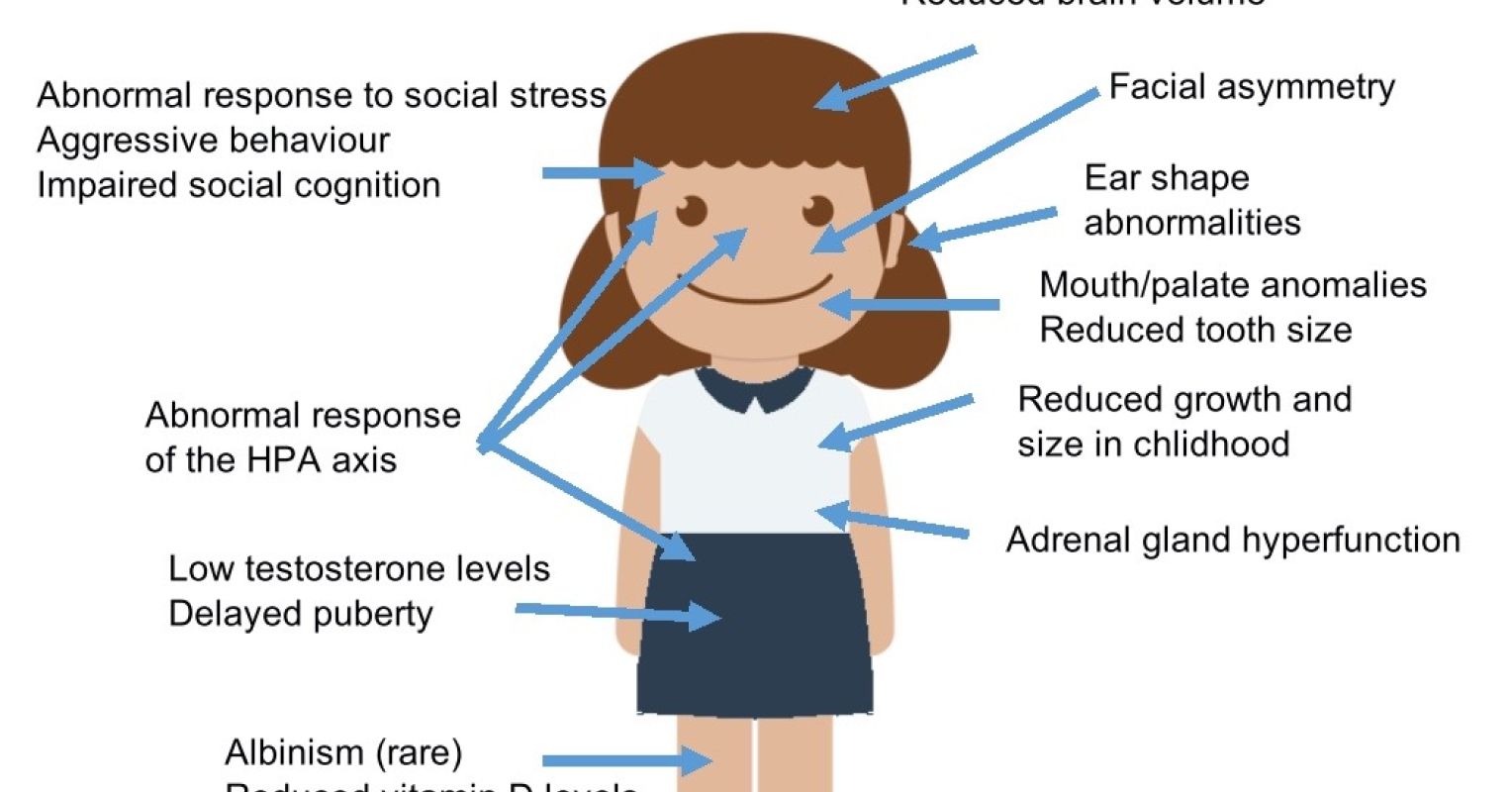 Schizophrenics as Hyper-domesticated Humans | Psychology Today