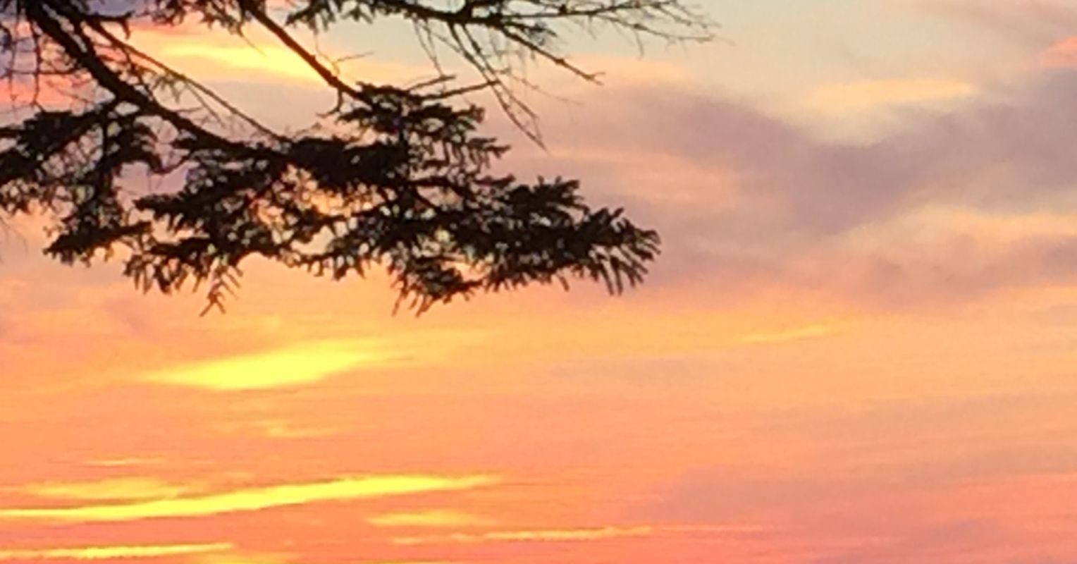 The Real Narrative of Life | Psychology Today