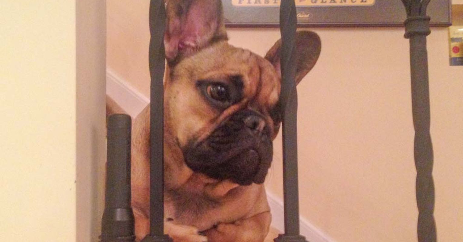 The Controversy Around Autism and Neurodiversity | Psychology Today