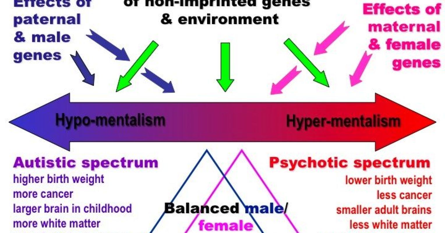 hypermasculinity theory