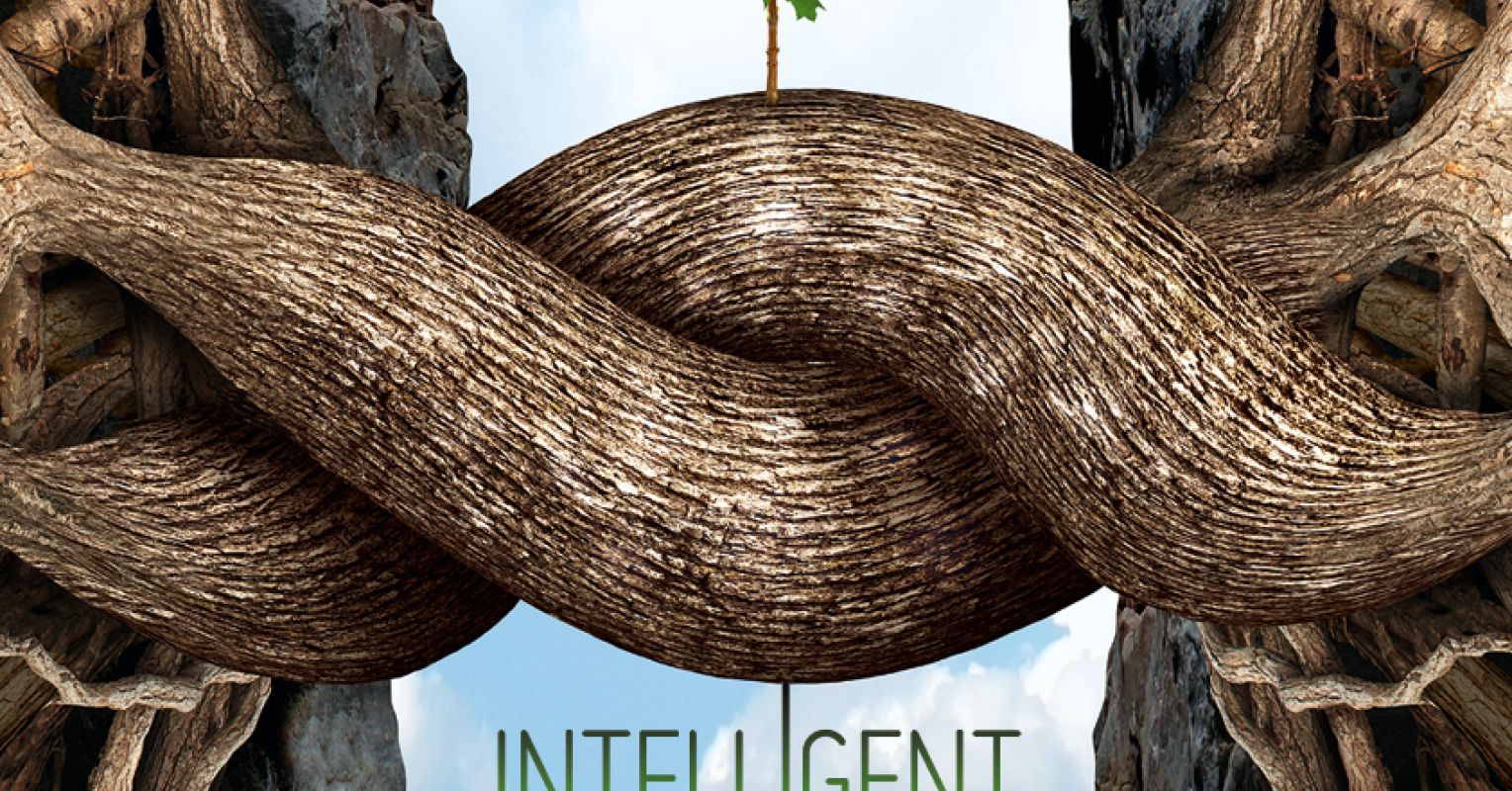 Smart Trees Teach via New Film & Bestselling Book | Psychology Today ...