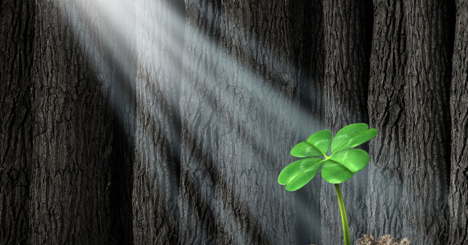 Accessing a Remembered Resource to Enhance Resiliency | Psychology Today