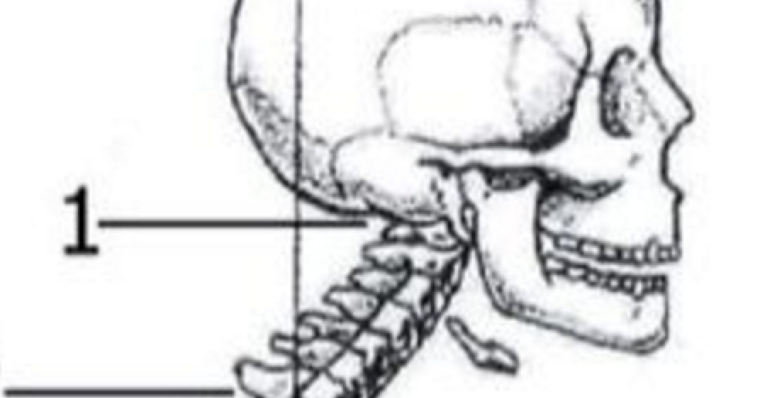pivot joint neck drawing