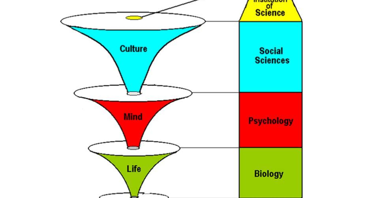 Moving From the Biopsychosocial Model to the ToK System | Psychology ...