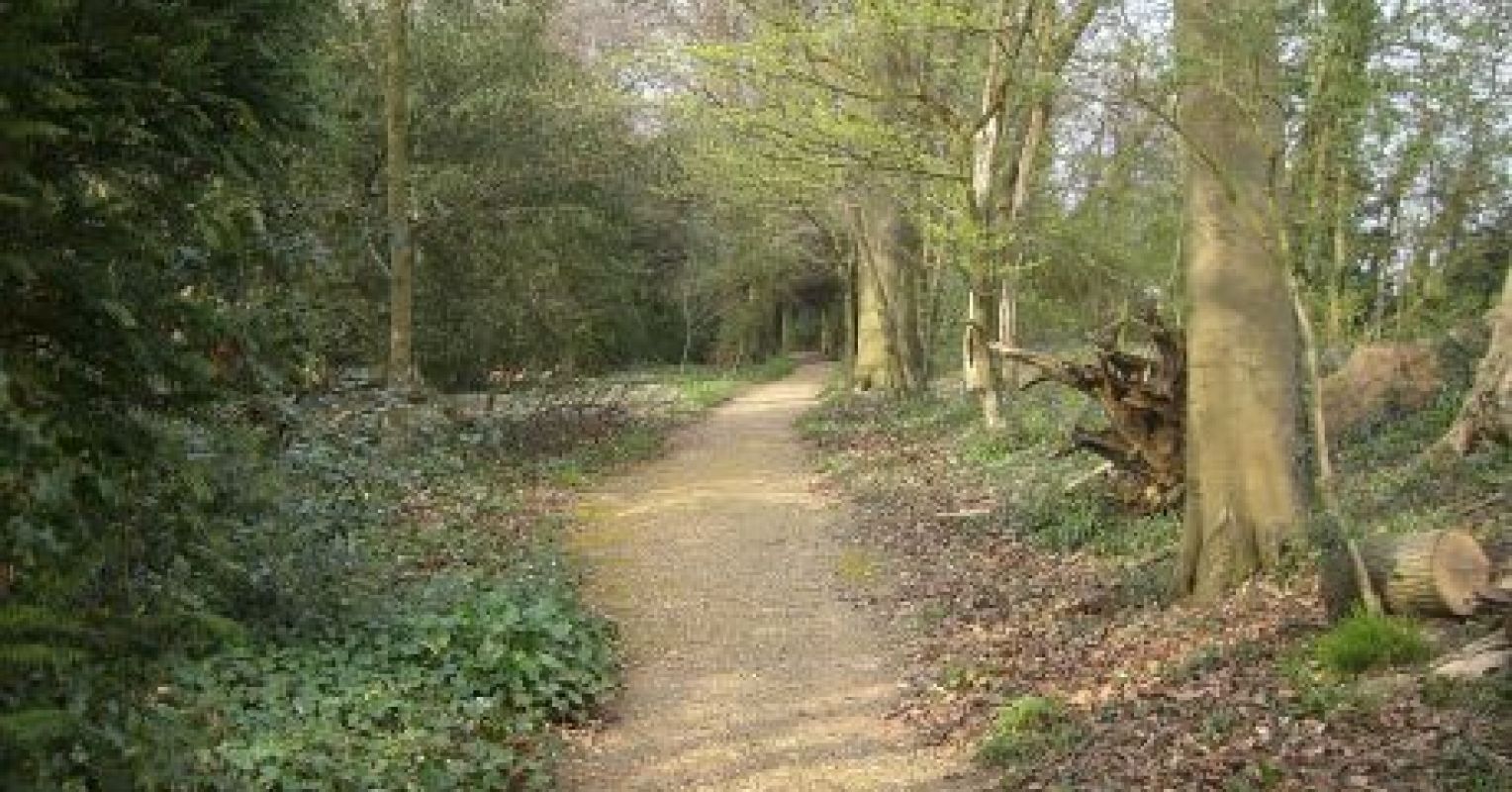 Walking to Boost Creativity | Psychology Today