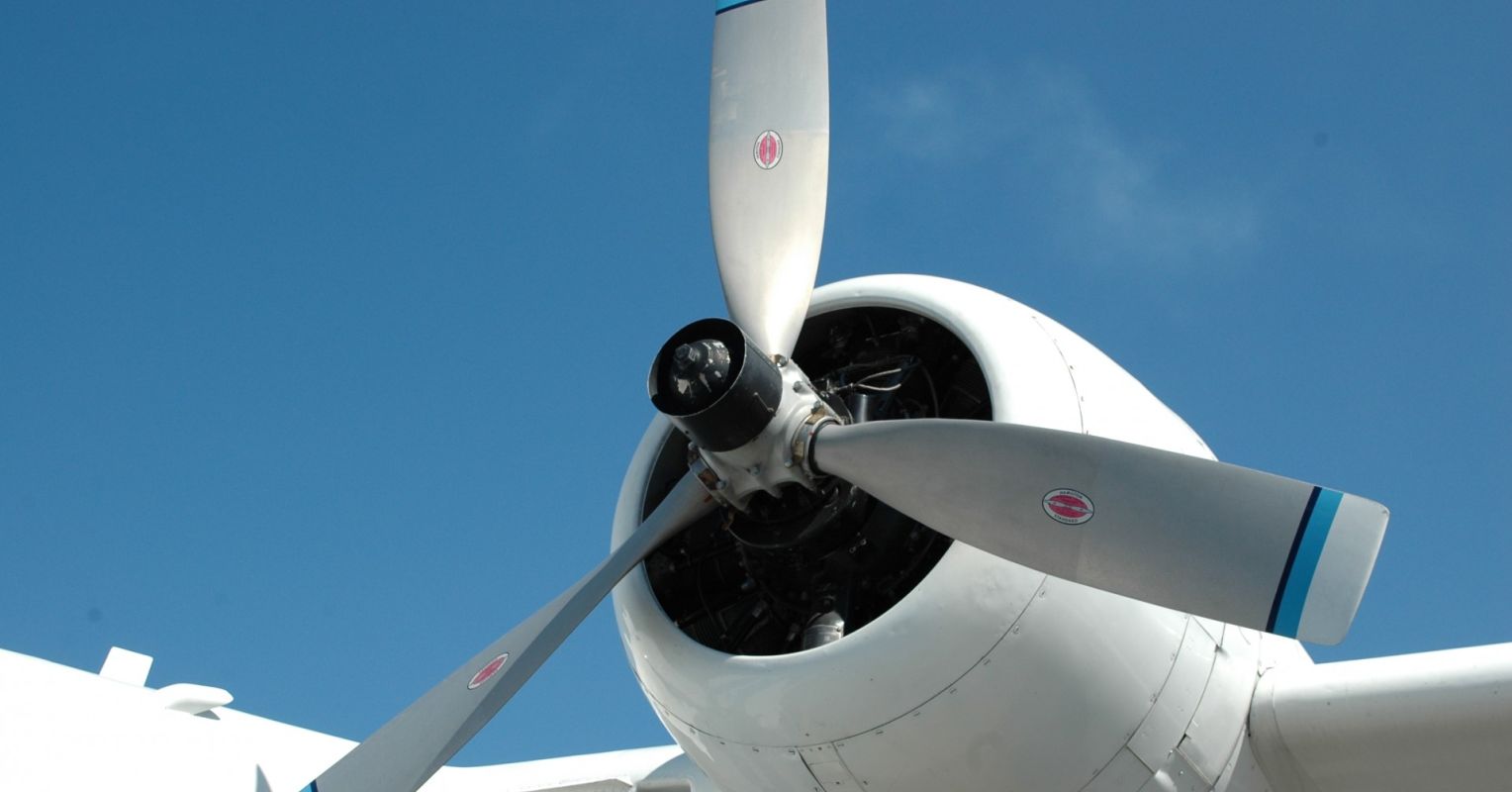 Fight or Flight: What Causes Air Rage? The Surprising Answer ...