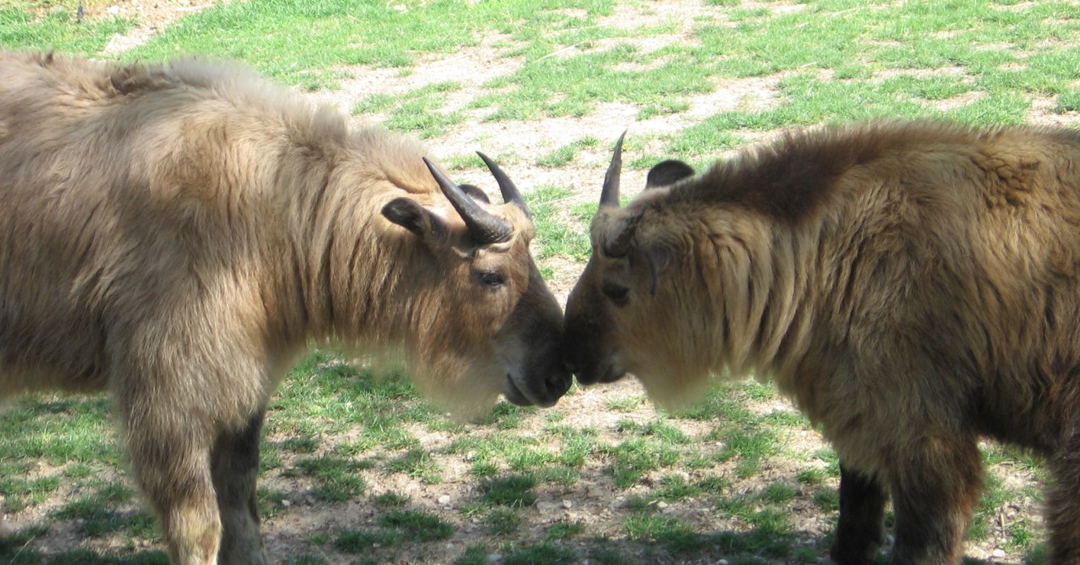 The Importance of Insight | Psychology Today Australia