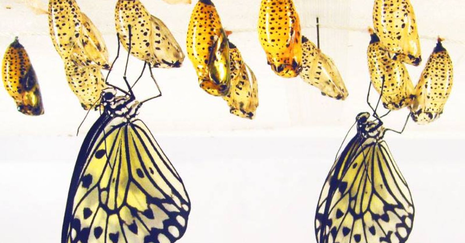 Is Bipolar Still In Disorder Really The Best We Can Do? | Psychology Today