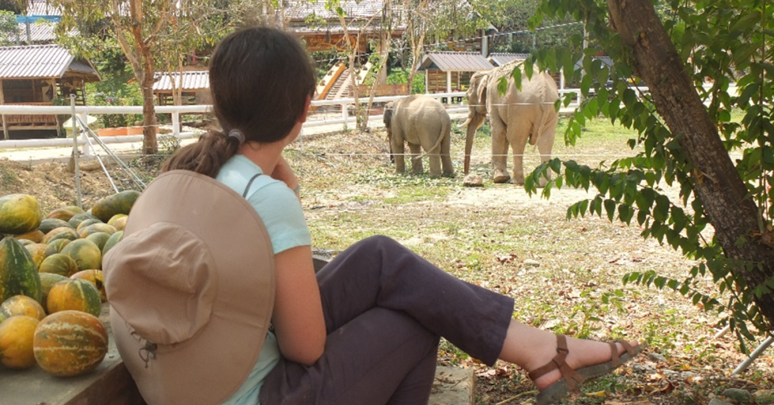 Solving the Problem for Elephants | Psychology Today South Africa