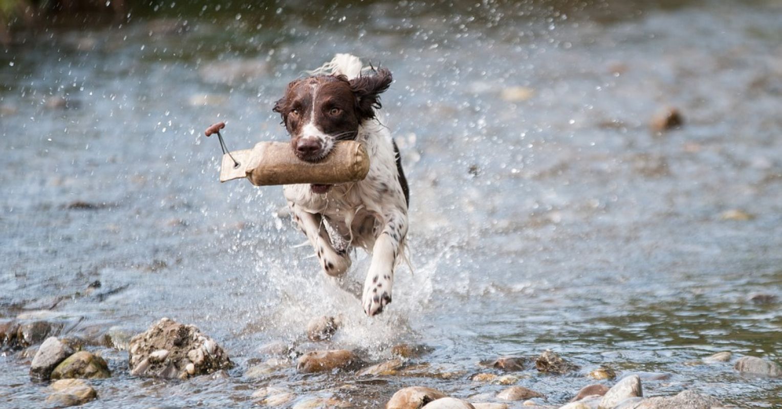 Goofing Off: Psychological & Physical Benefits of Having Fun ...