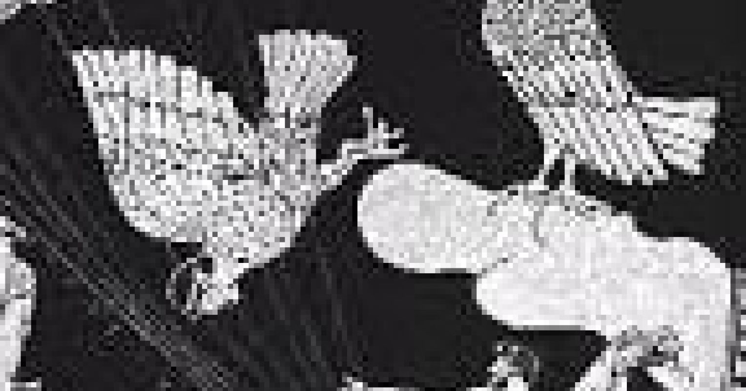 Adele's Hello: Meaning Making in Secular Ways | Psychology Today