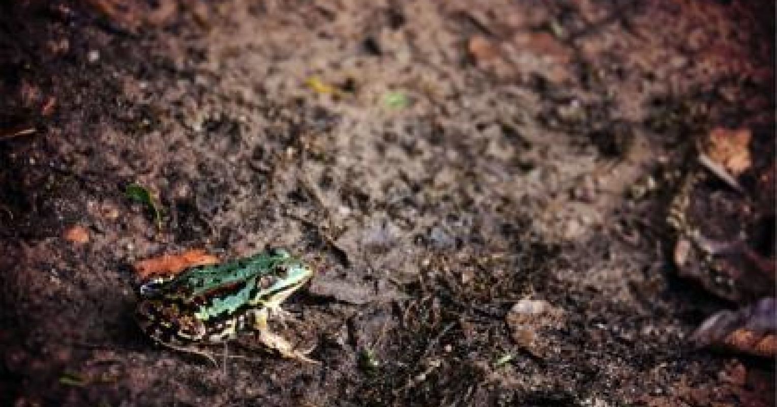 How to Get Unstuck | Psychology Today