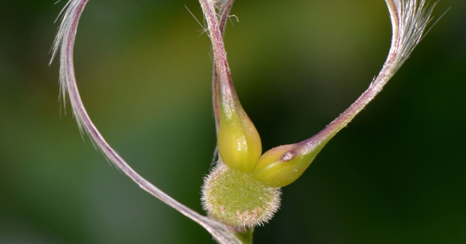 Soliphilia and Other Ways of Loving a Planet | Psychology Today