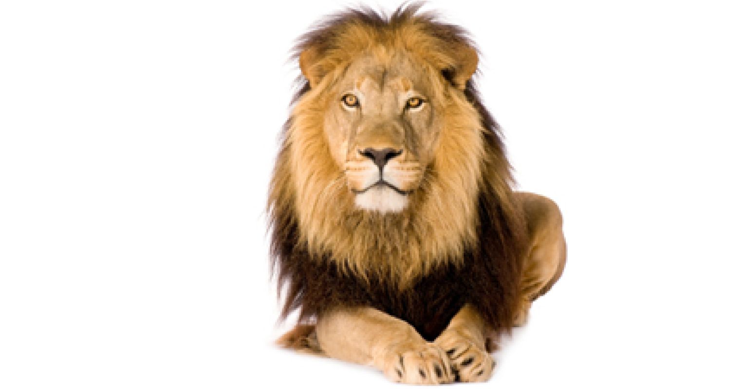 The President's Personality | Psychology Today