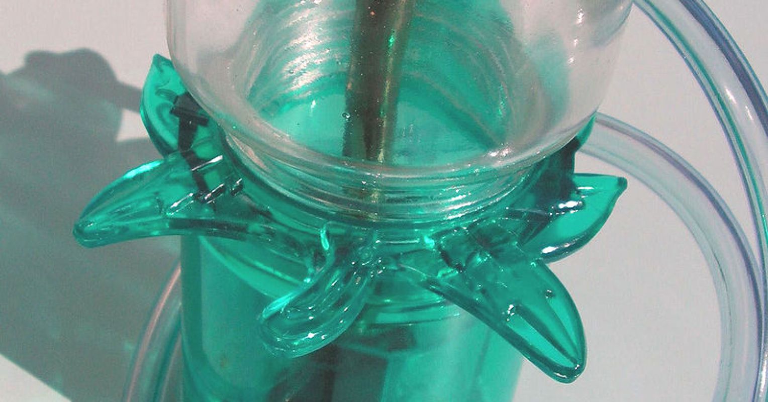 Marijuana: The Newest Invasive Species | Psychology Today