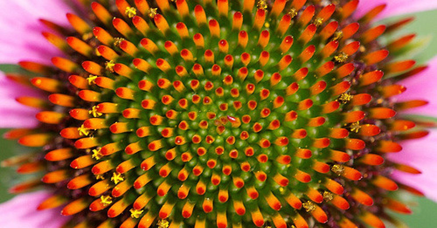 A Non-Statistician’s Approach to Coincidences: Part 5 | Psychology ...