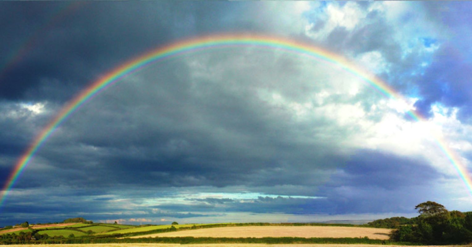The Rainbow Link | Psychology Today
