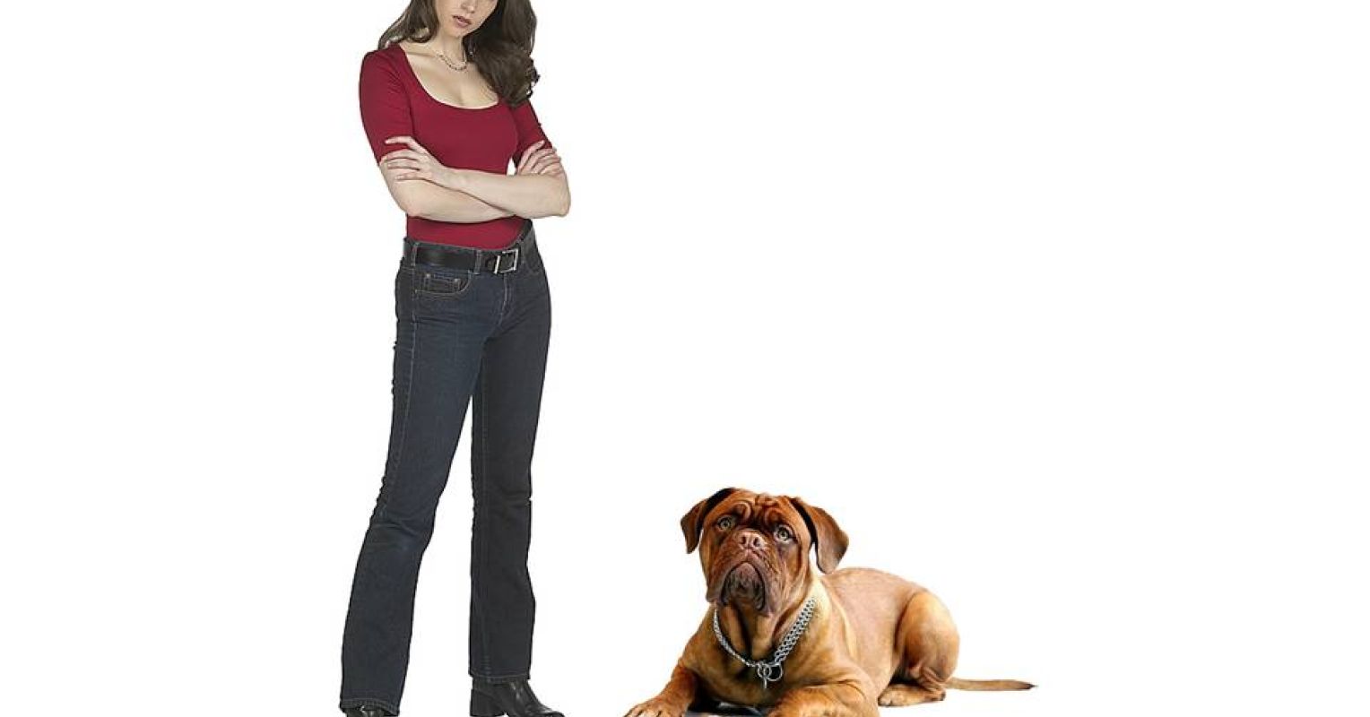Dogs Hesitate More and Respond Less Well When You Are Upset ...