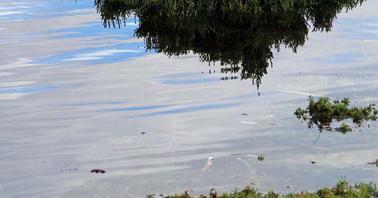 Islandness of the Mind: The Study of Islanders | Psychology Today