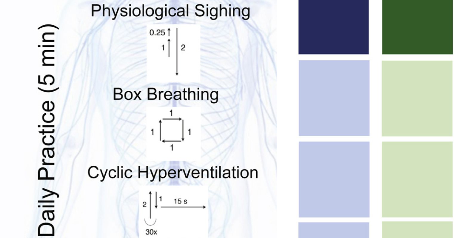 cyclic ingestion technique