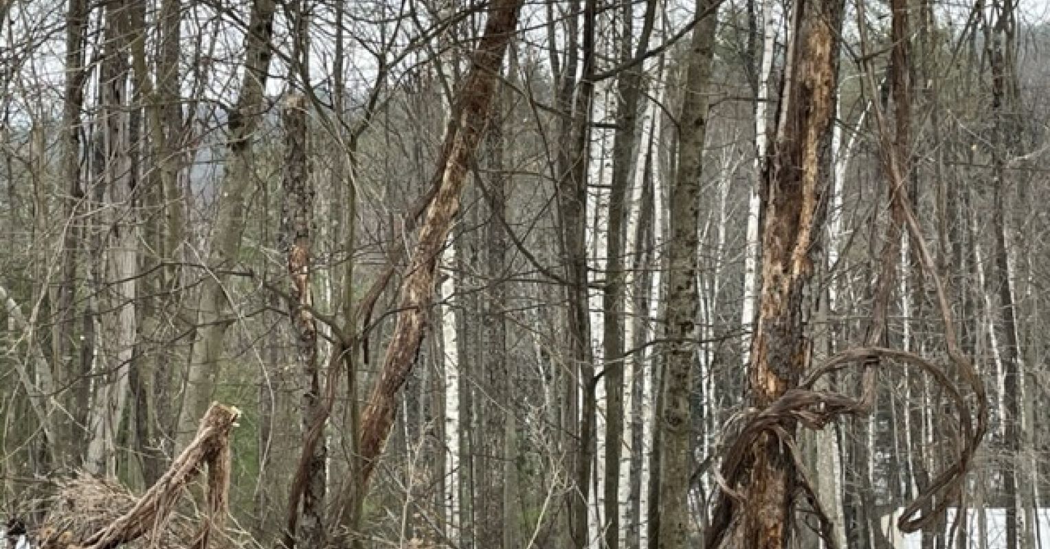 Understanding Chronic Sorrow | Psychology Today