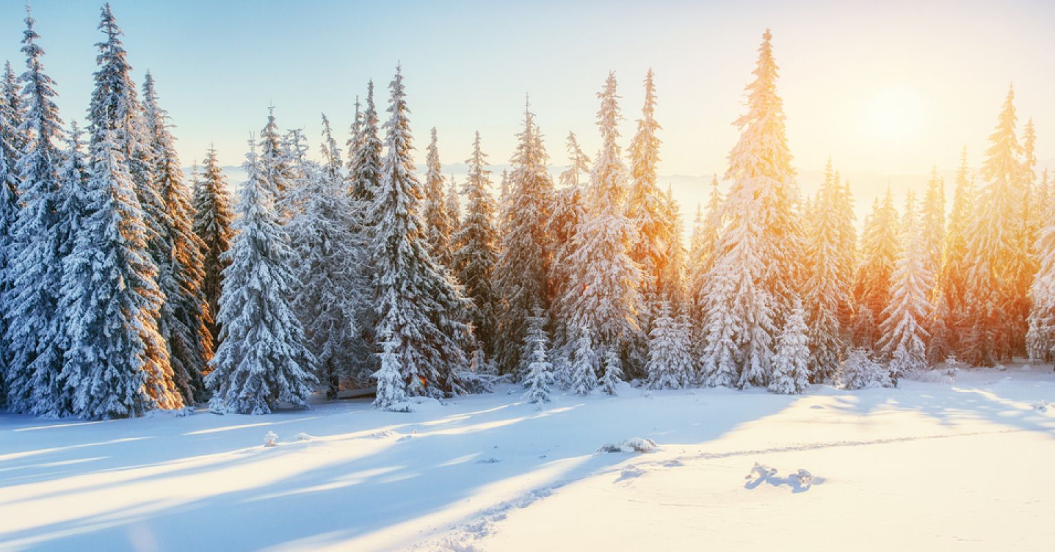 The Secret to Connecting With My Autistic Son | Psychology Today