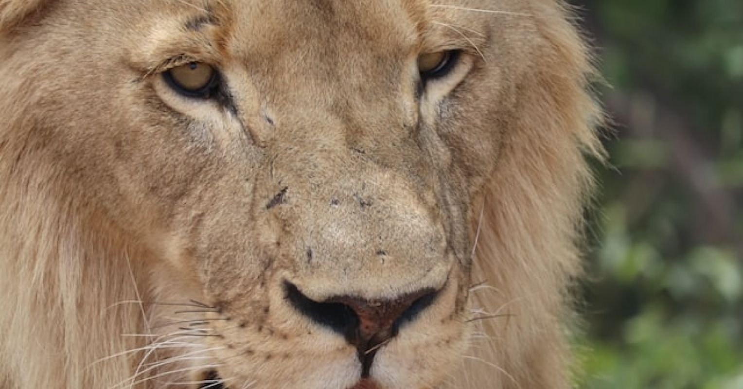 How Physical and Moral Disgust Can Impact Your Life | Psychology Today