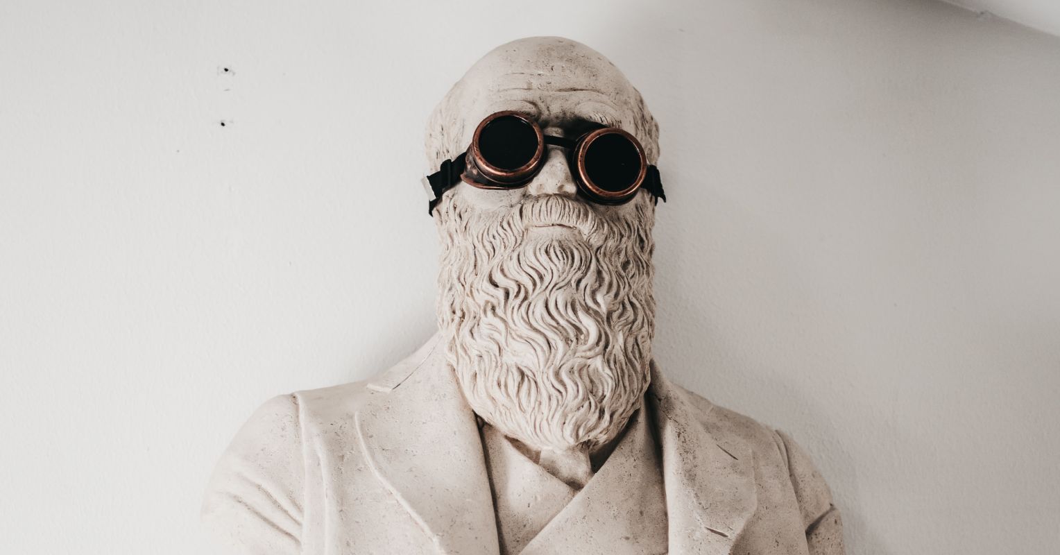 The Darwin Effect: How Evolution Can Guide Your Success | Psychology Today