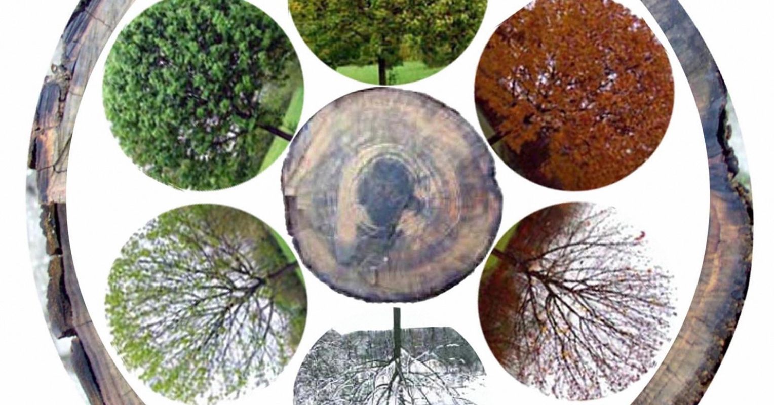 Seasonality in Human Behavior | Psychology Today Australia