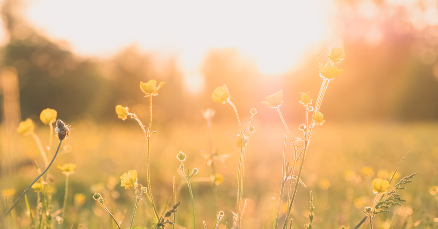 Feeling Seen, Heard, and Understood in the Workplace | Psychology Today