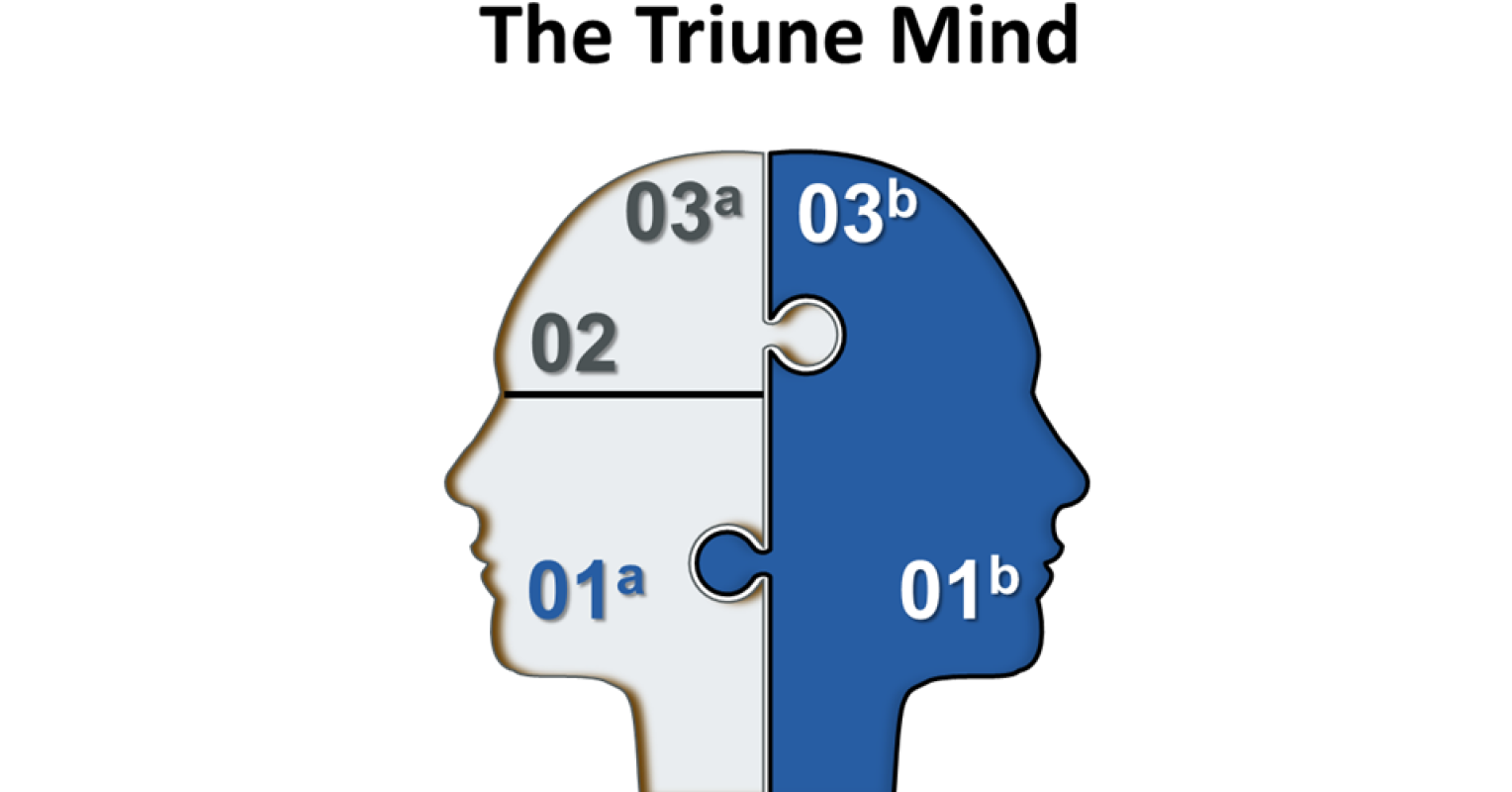 What Is the Triune Mind? | Psychology Today