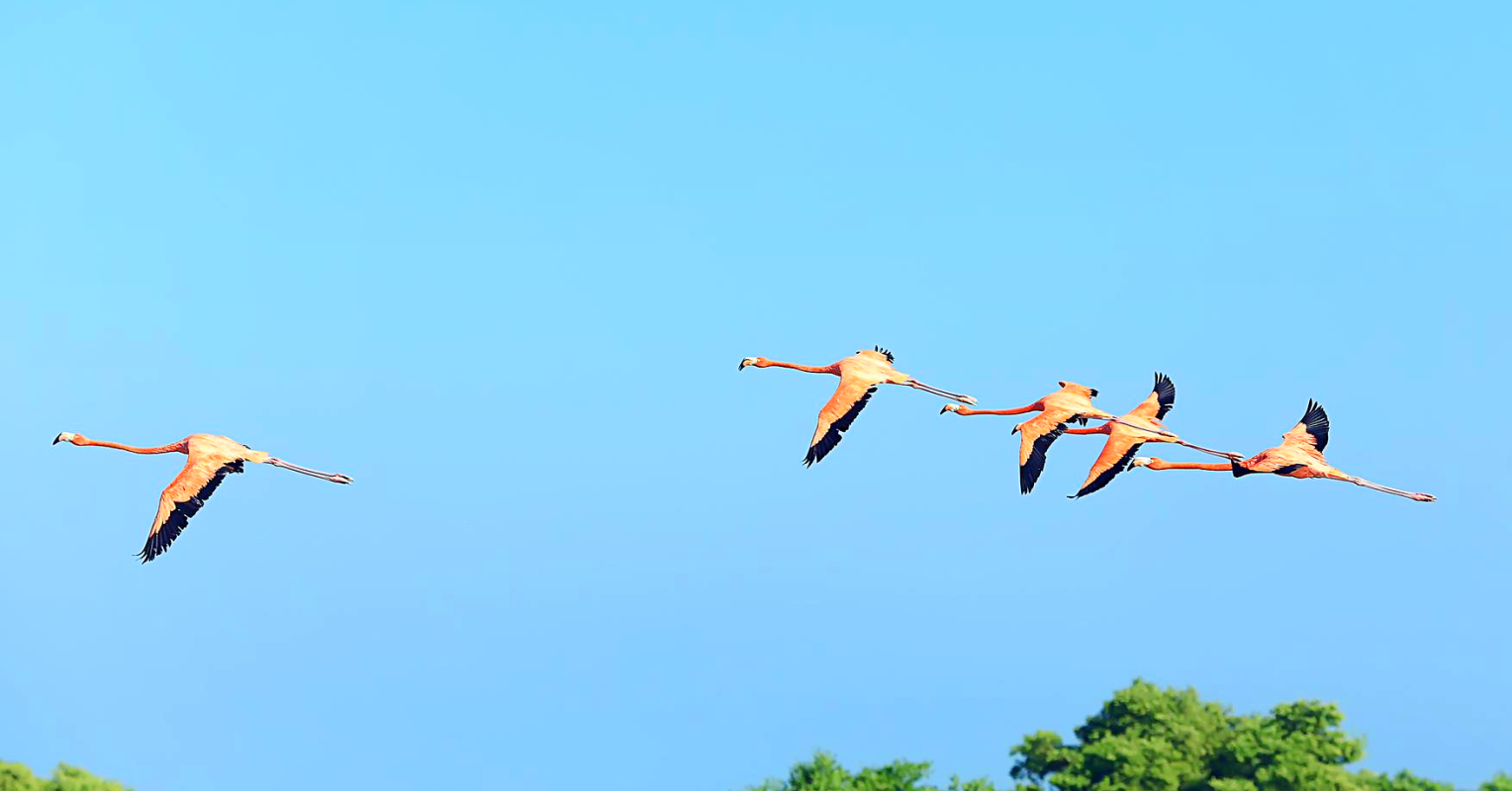 How to Overcome the Trauma of Teamwork | Psychology Today