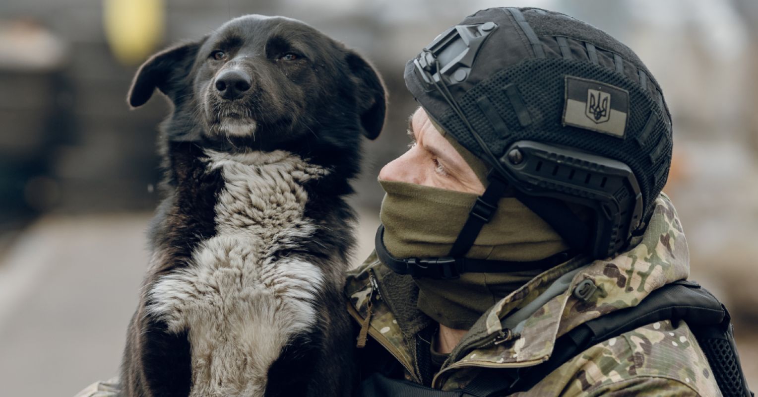 The State of Ukraine's Animals and Environment | Psychology Today