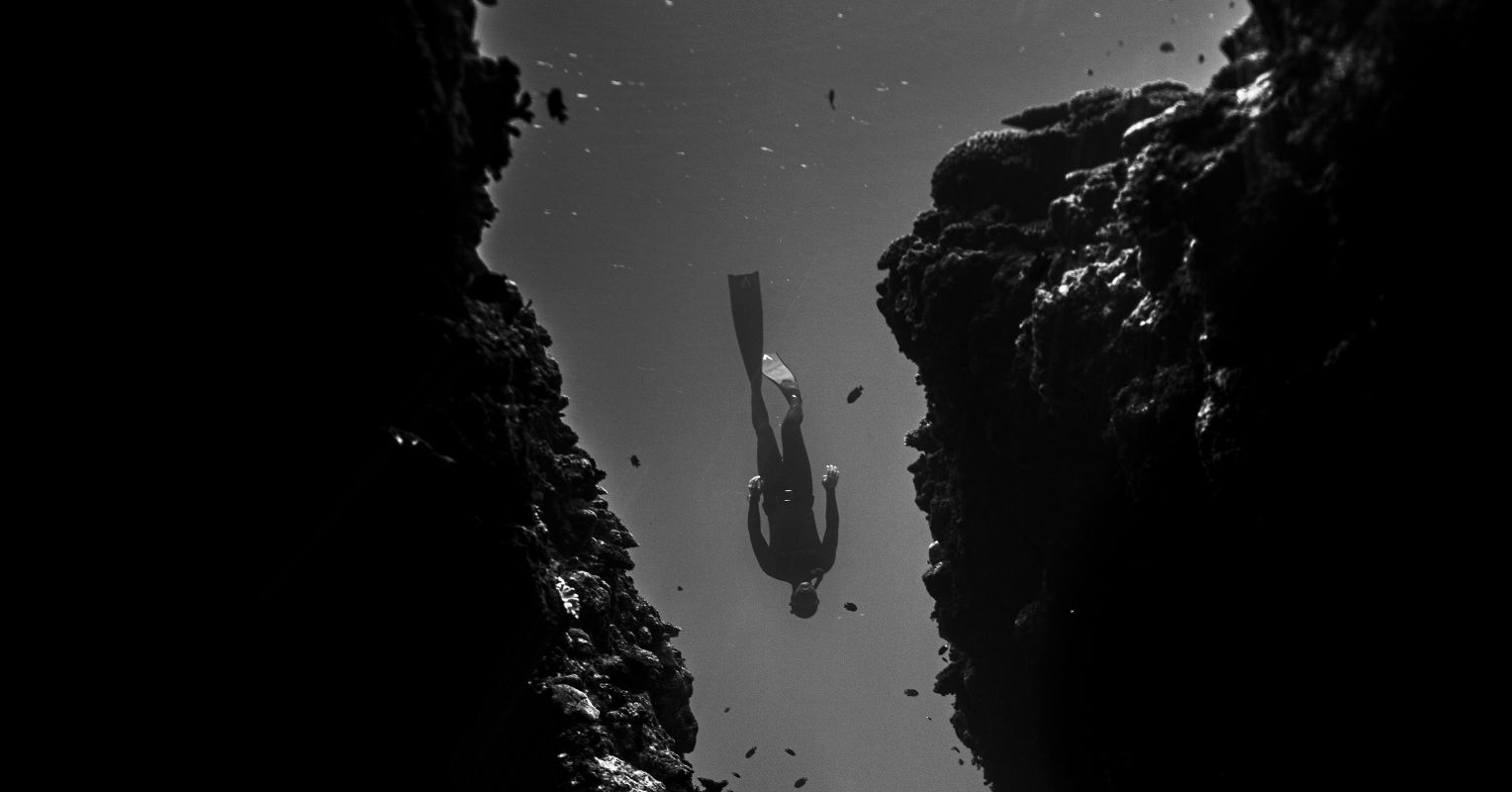 Pathological Belief: The 5 Stages of Ideological Commitment ...