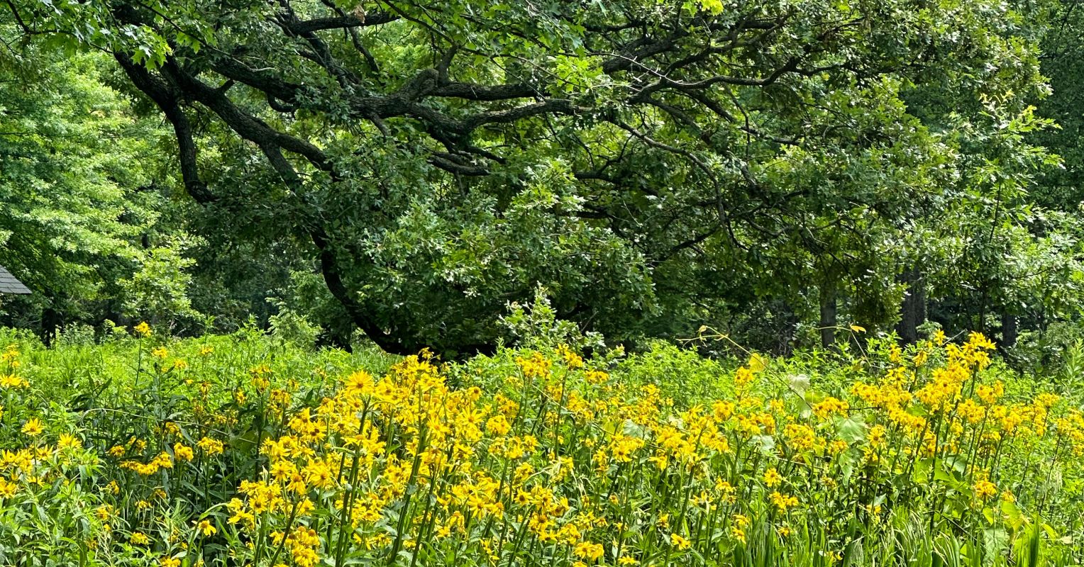 The Art of Savoring | Psychology Today