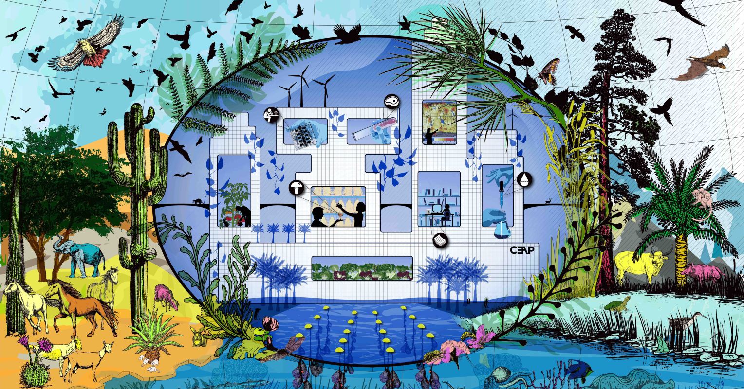 Animal Sentience and Environmental Ethics | Psychology Today