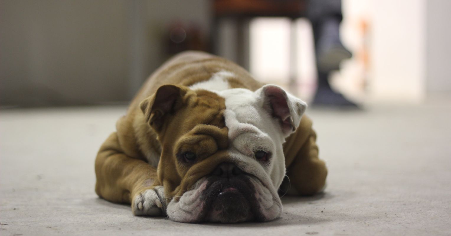 What Social Situations Take Up the Most "Social Bandwidth ...