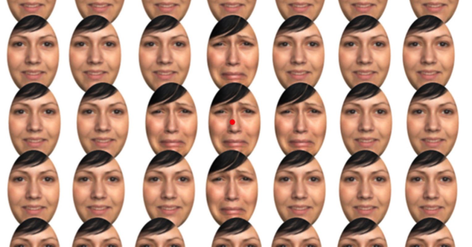 A Face in the Crowd: The Illusion of Emotional Uniformity | Psychology ...