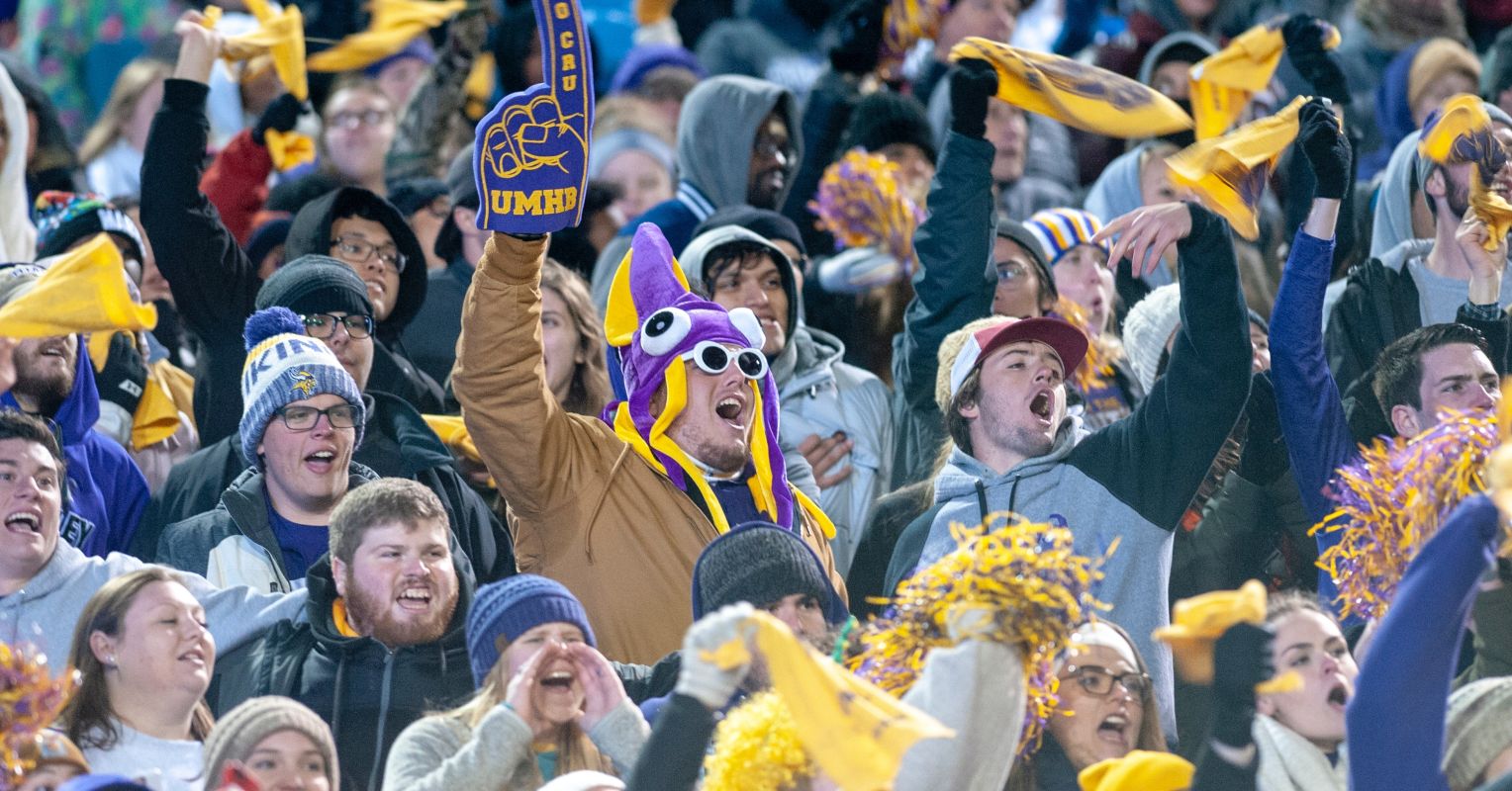 The Bright Side of Being a Sports Fan | Psychology Today