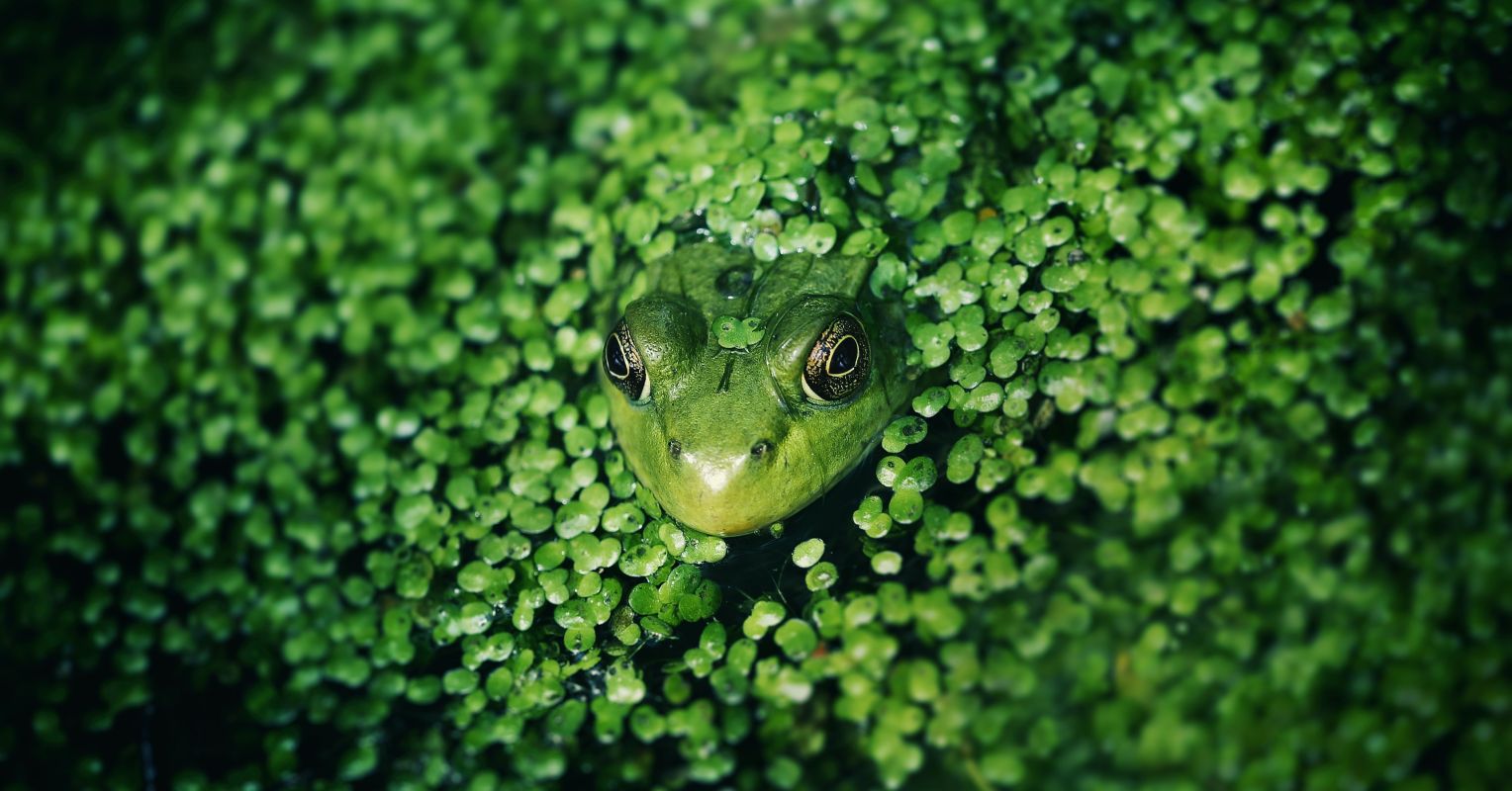 The Ambush Meeting: How to Deal with this Tactic | Psychology Today