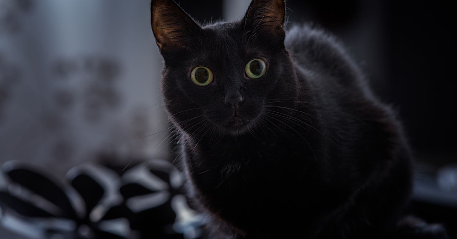 Superstition: The Good, the Bad and the Ugly | Psychology Today