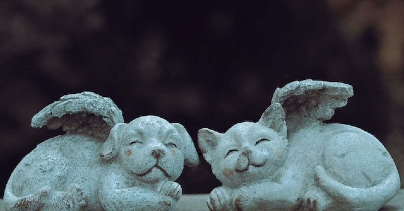 How to Help Someone Grieving the Loss of a Pet | Psychology Today