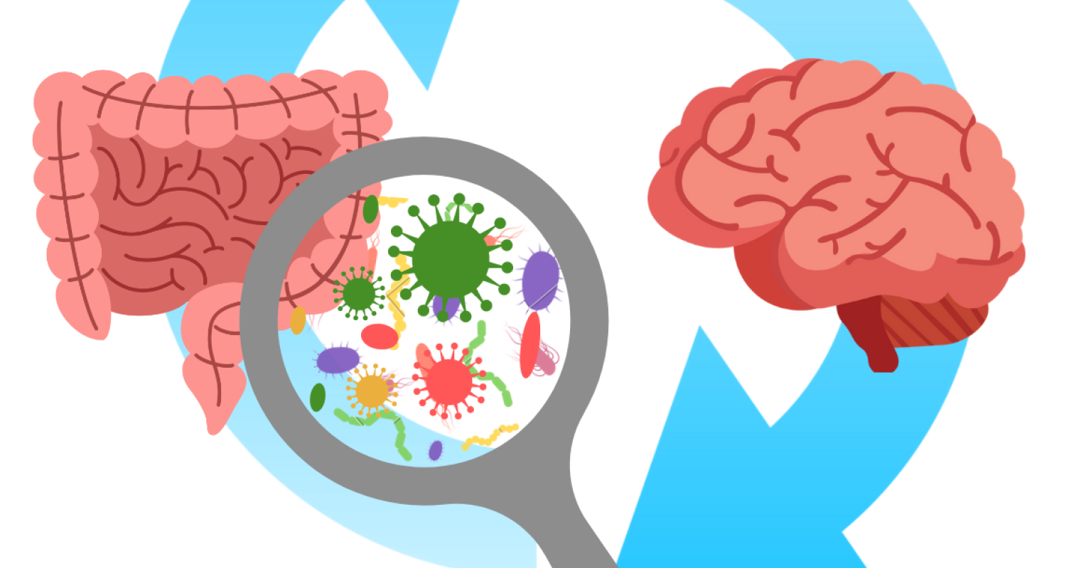Exploring the Link Between the Gut Microbiome and Anxiety | Psychology ...