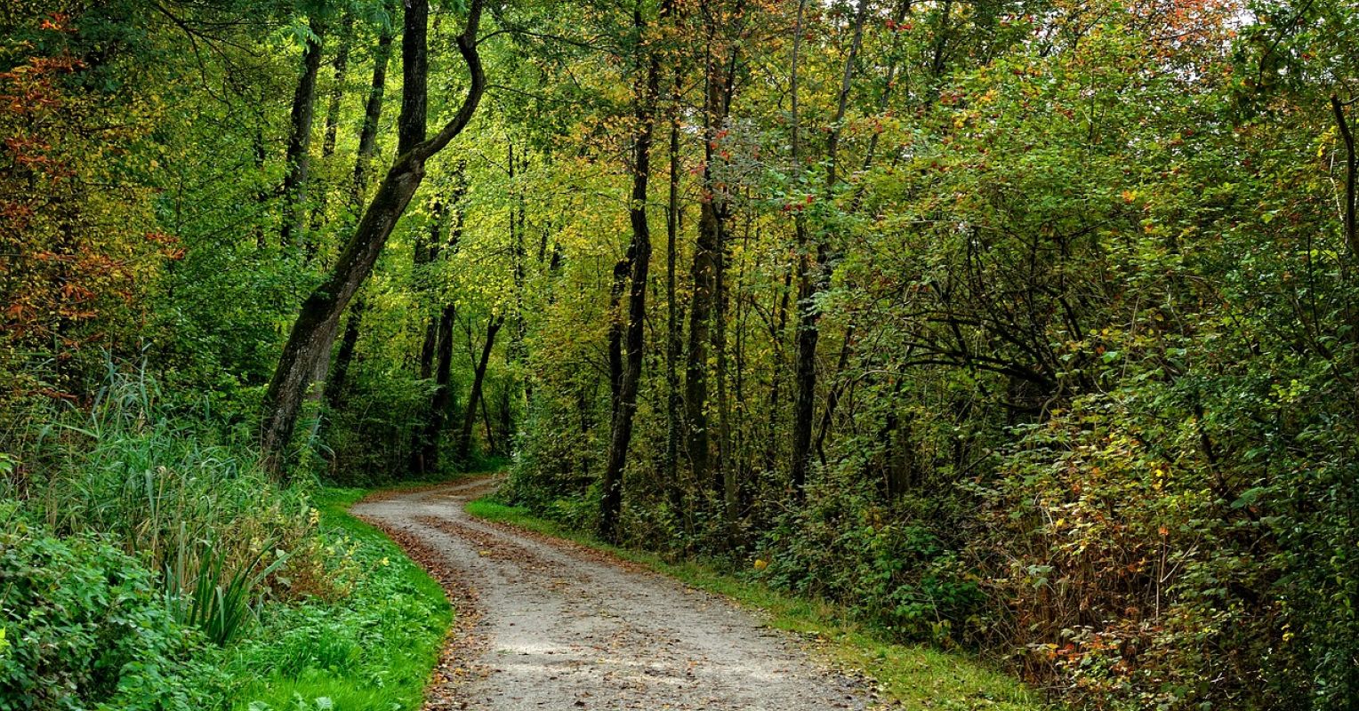 Weird Things Just Happen to Me | Psychology Today