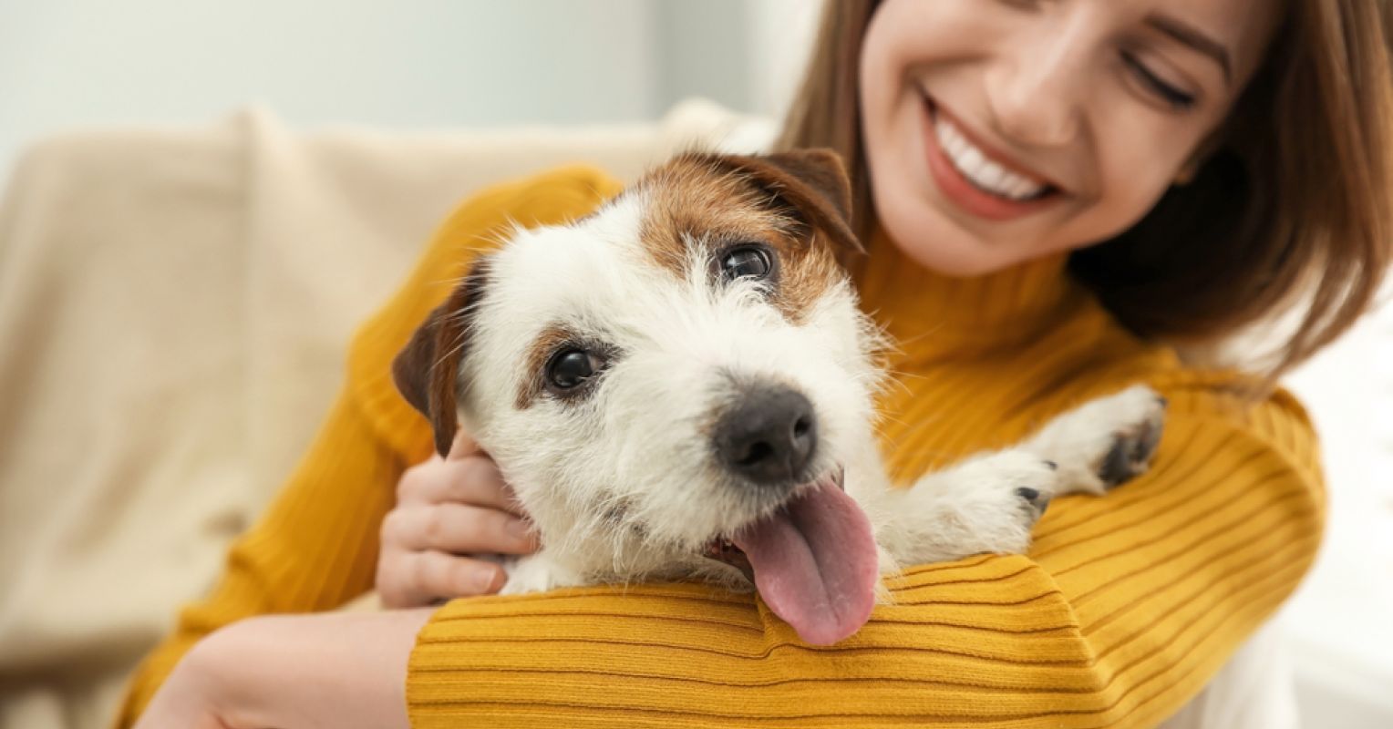3 Keys to a Happier Dog | Psychology Today