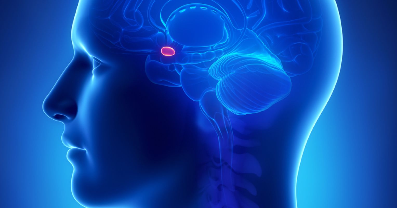 How the Brain Really Generates Fear and Anxiety | Psychology Today