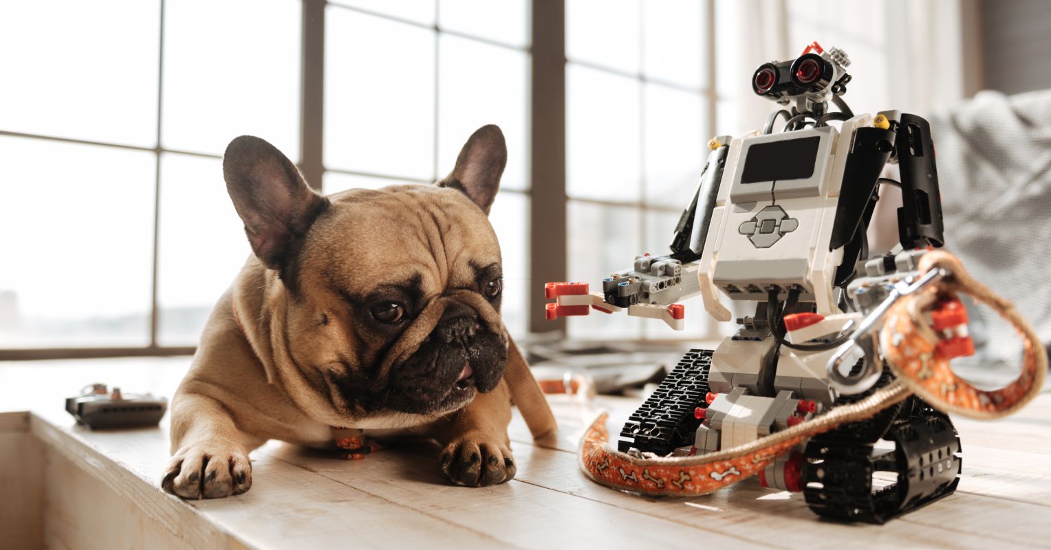 Your Dog Is Smarter Than AI | Psychology Today