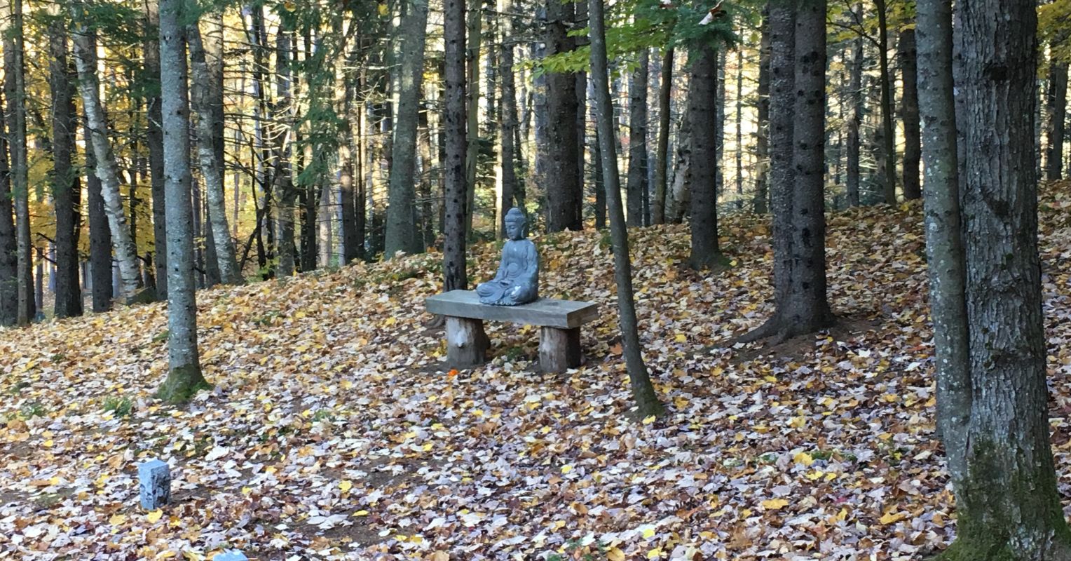 What Does It Mean to Awaken? | Psychology Today New Zealand