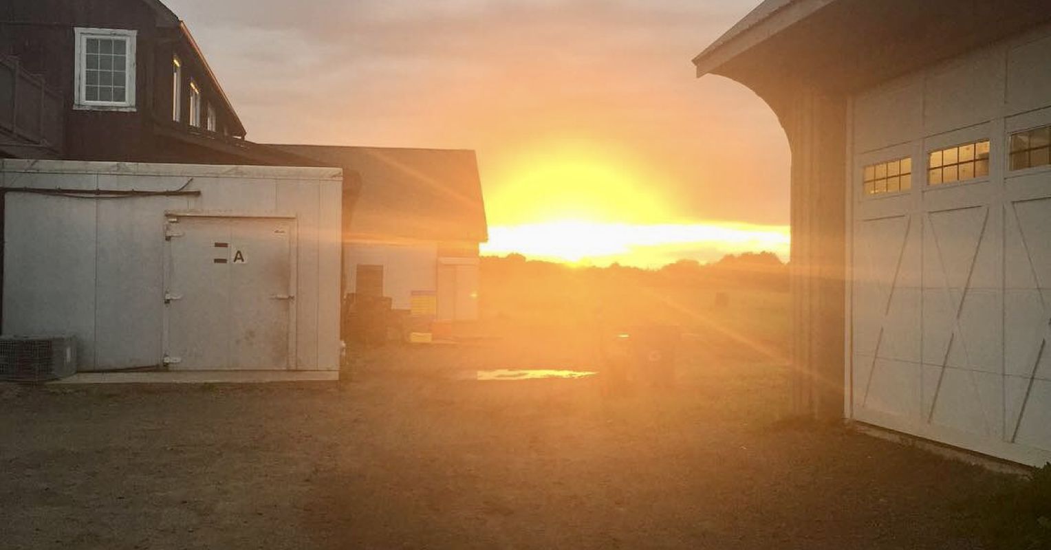 The Fraught Relationship Between Fertility and Agriculture | Psychology ...